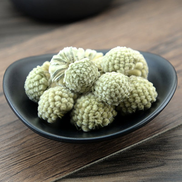 Buy Lv Luo Hua Green Flower Scindapsus Aureus Edgeworthia Chrysantha ...