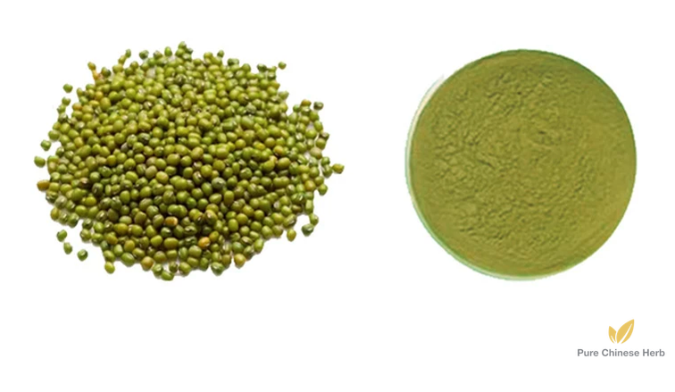 Buy Mung Bean Extract 20:1 | Vigna Radiata | Lv Dou Online – Pure ...
