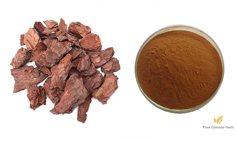 Buy Pine Bark Extract 20:1 | Quality Pure Bulk Herbs | Song Shu Pi ...