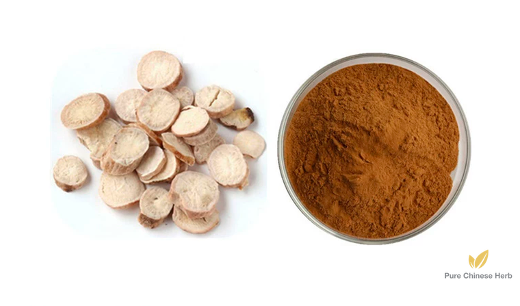 Buy Radix Paeoniae Alba Extract 20:1 | White Paeony Root Extract | Bai ...